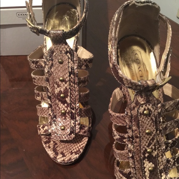 Coach | Shoes | Coach Womens Jenkins Printed Python Sandles S | Poshmark